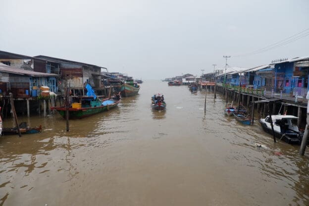 Dunia Menakjubkan Siput Laut: Panduan Lengkap | LautSehat.ID