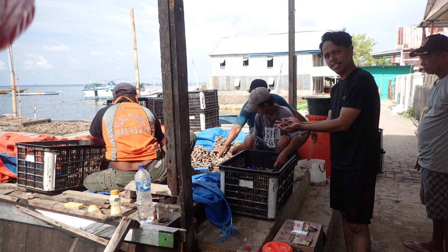 Teripang: Komoditas Laut yang Terancam dan Pentingnya Upaya Konservasi ...